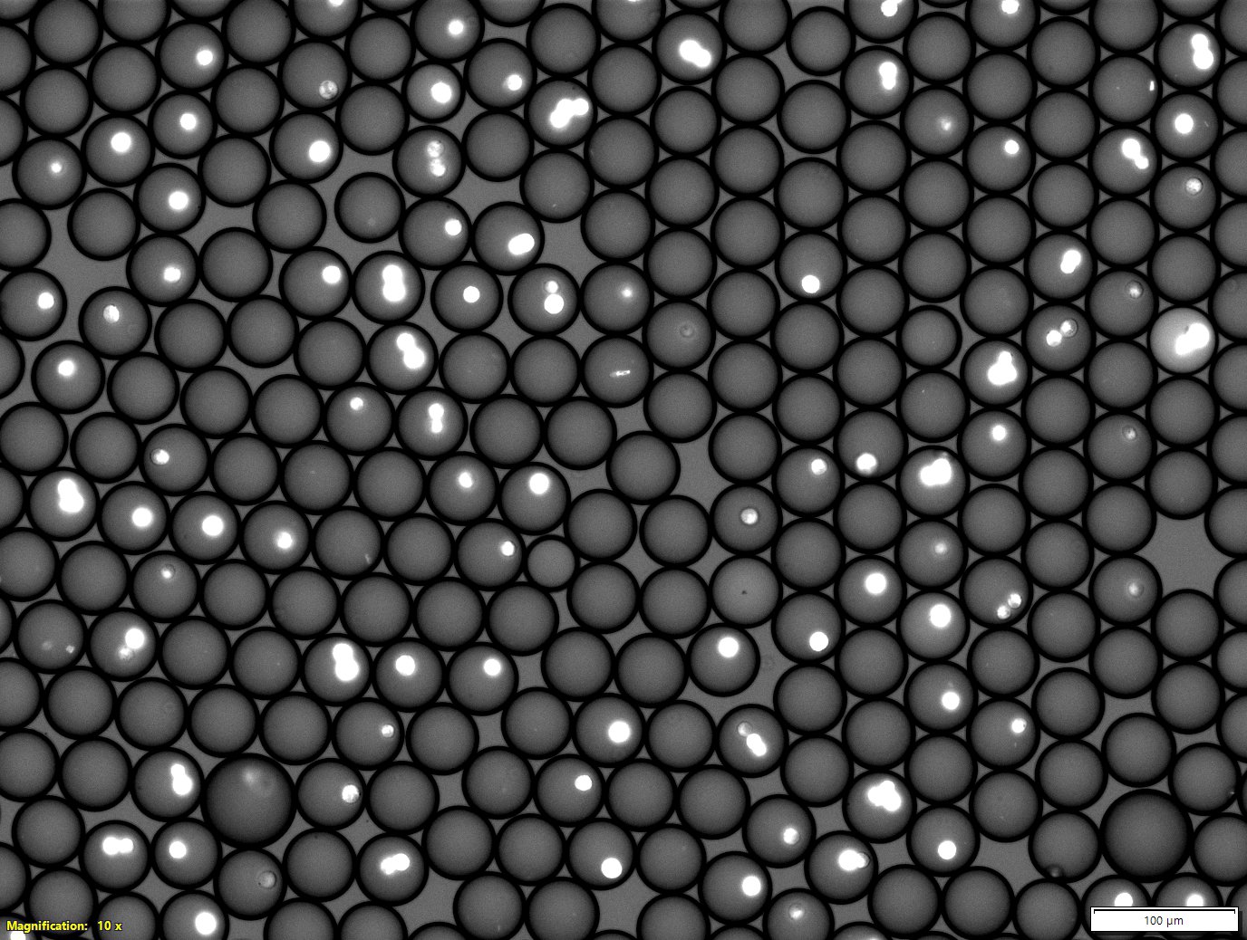 Drugging the ‘undruggable’: new technology for drug candidate ...